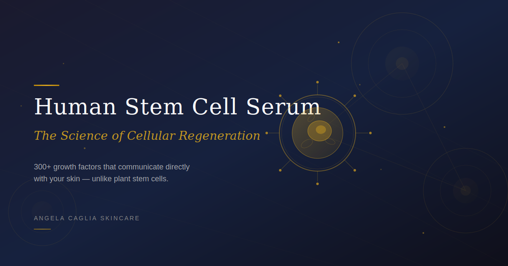Human Stem Cell Serum: How It Works & Why It Beats Plant Stem Cells