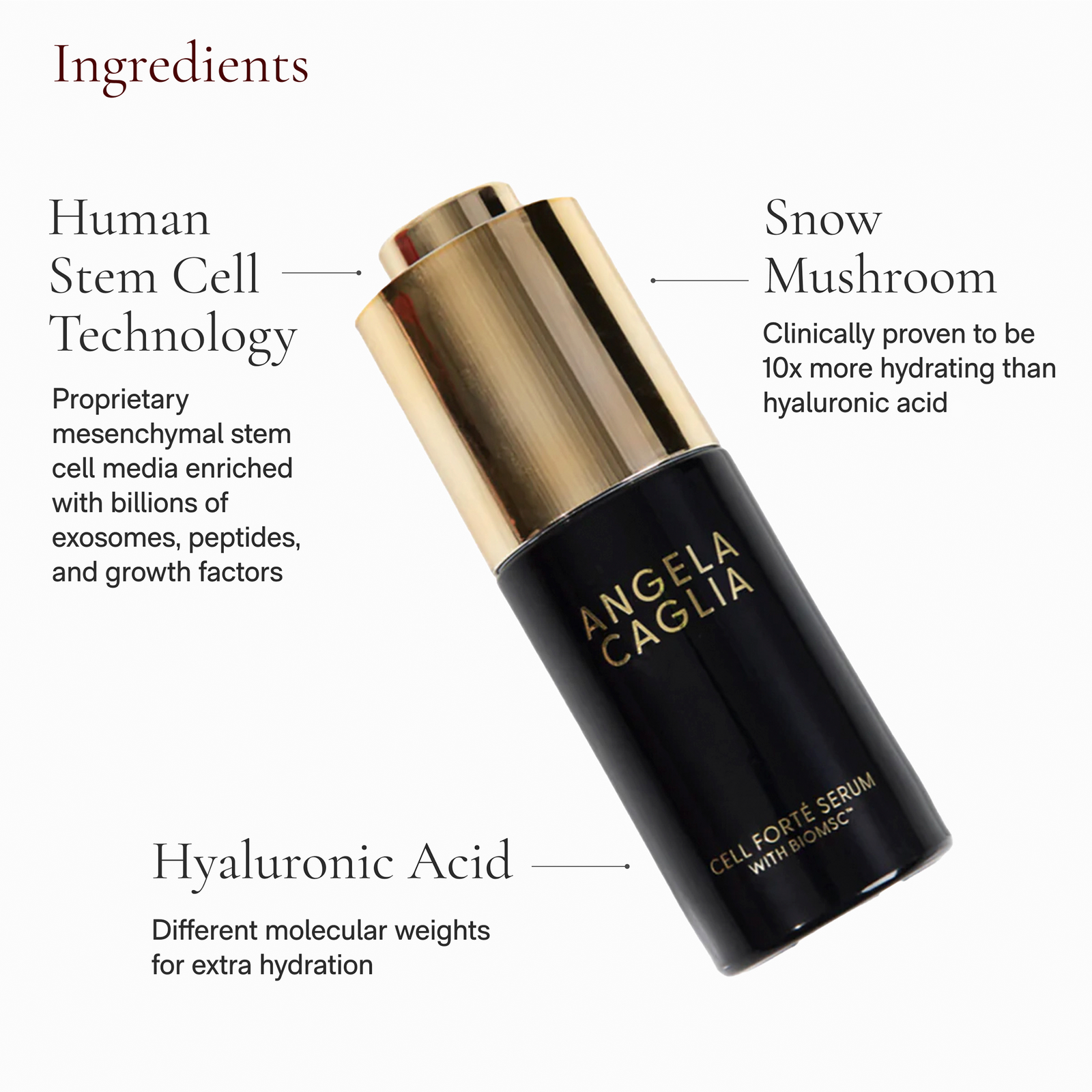 Cell Forté Serum | Human Stem Cell Skincare | Angela Caglia