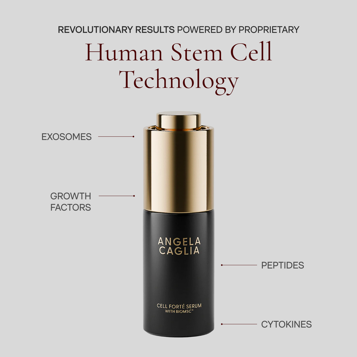Cell Forté Serum | Peptides | Exosomes
