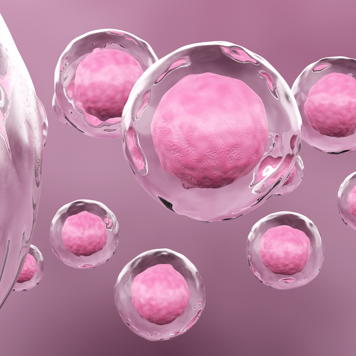 Cell Forté Serum | Peptides | Exosomes